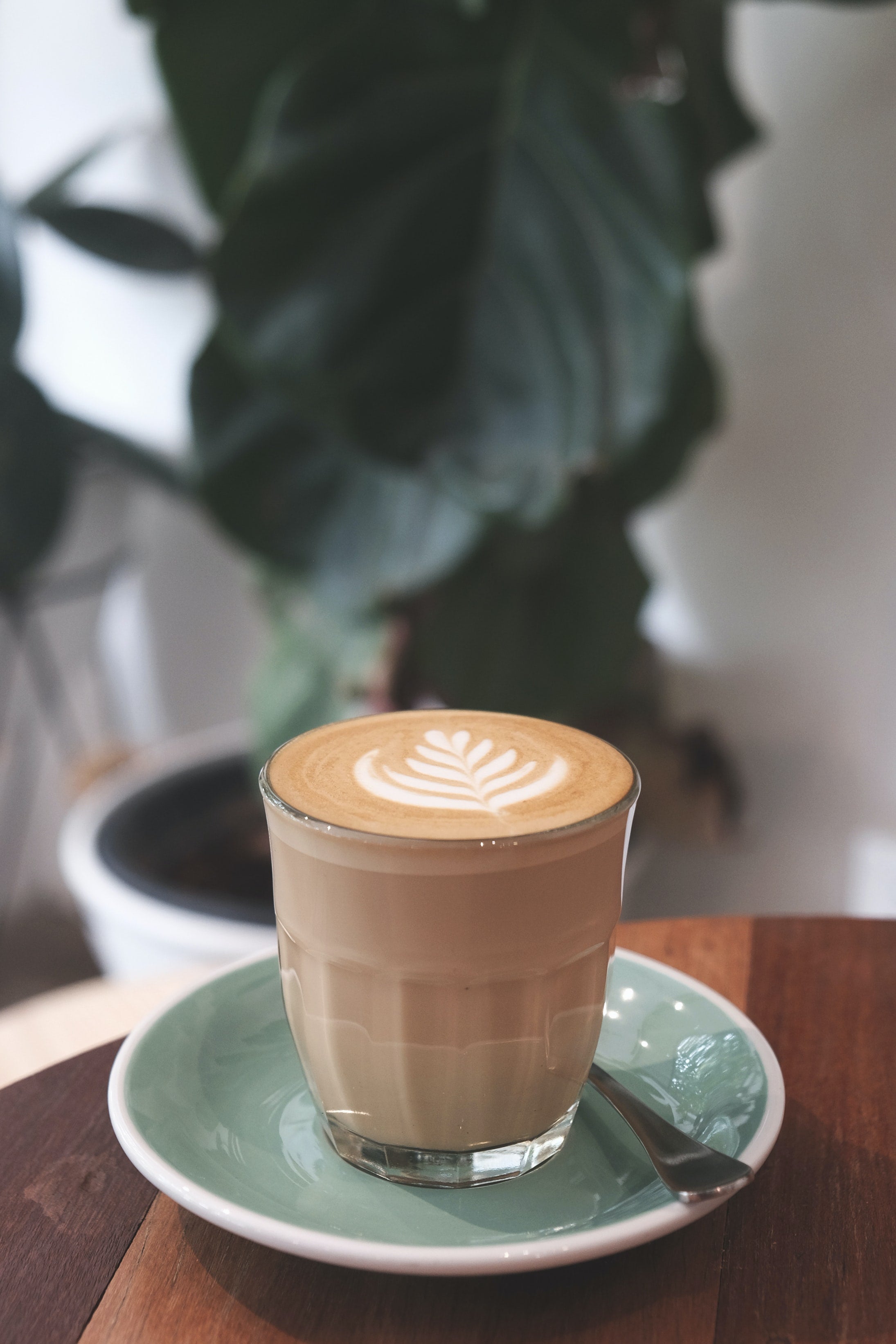 Cortado | Libertalia Coffee & Bagels
